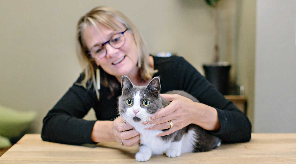 Pandosy Vet: A fresh take on pet healthcare