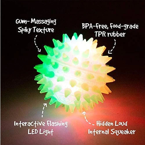 Gnawsome Squeak & Light Ball - Pandosy Vet