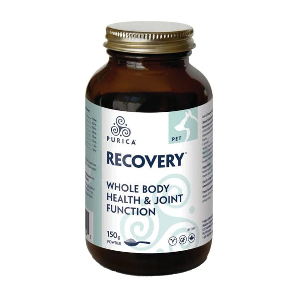 Pet Recovery - Pandosy Vet